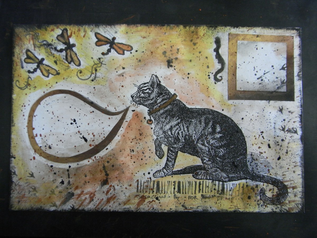 saraccino: Cat envelope
