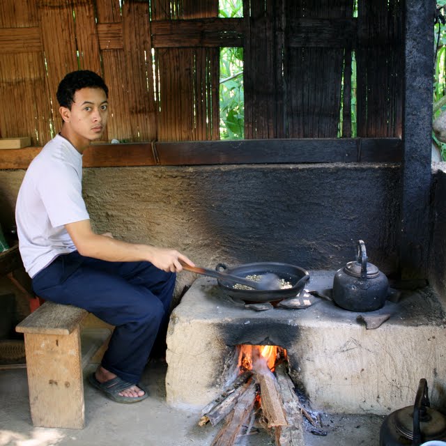 Cat poo coffee in Bali | food world, drink usa