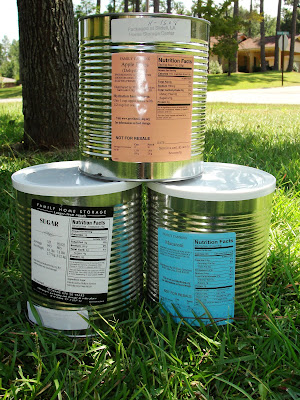 Imperfectly Beautiful: Gettin' Crafty With Empty Cans