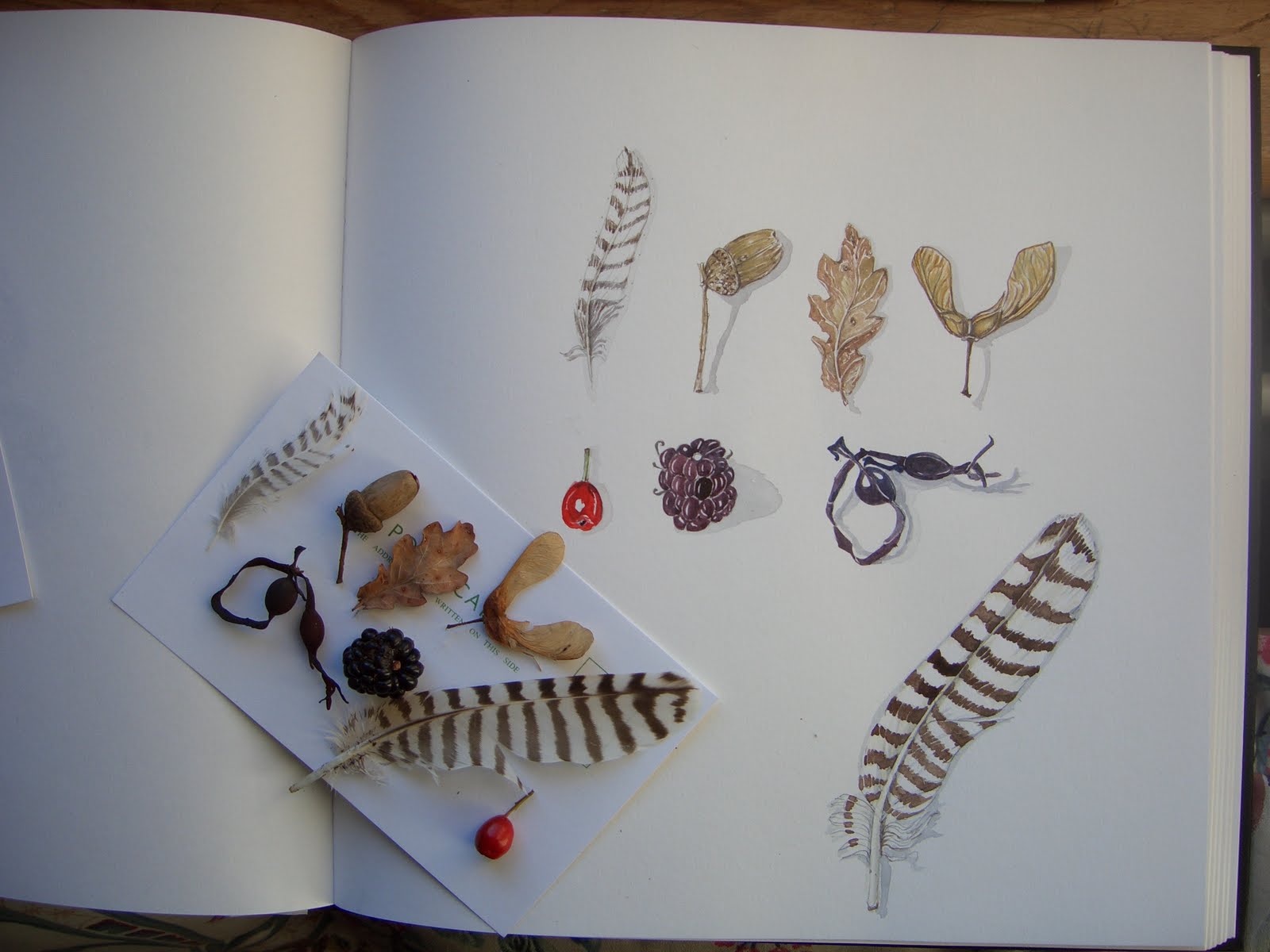 Small Things To Draw