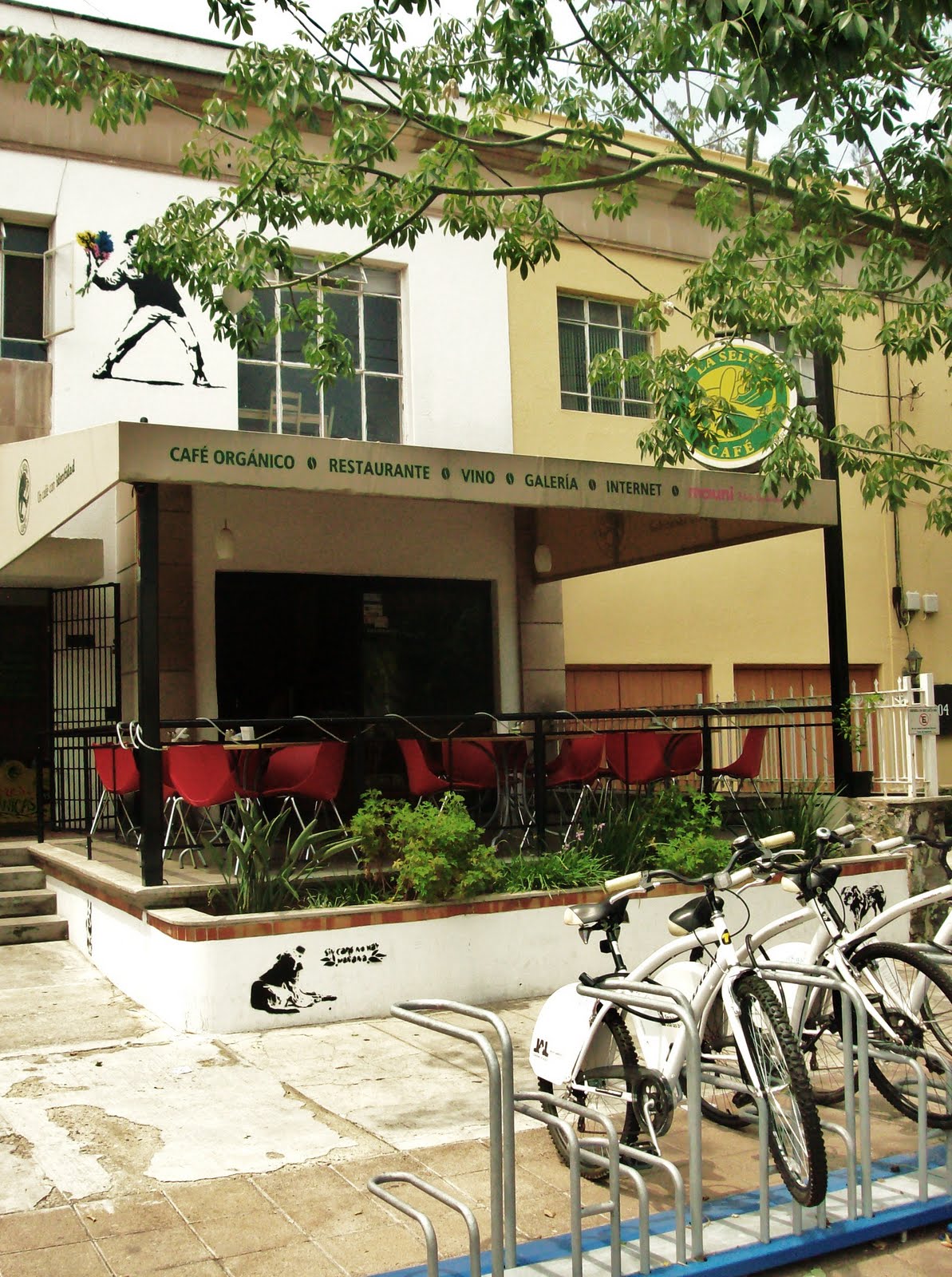 The NO DATA: La Selva Café