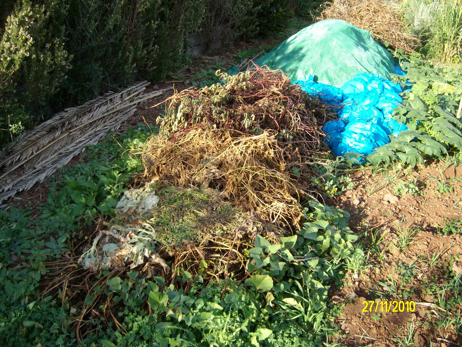 Finca Ecológica el Pilón: LA PILA DE COMPOST VEGETAL Y SU PROCESO