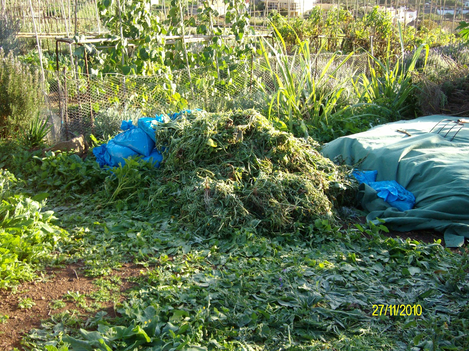 Finca Ecológica el Pilón: LA PILA DE COMPOST VEGETAL Y SU PROCESO