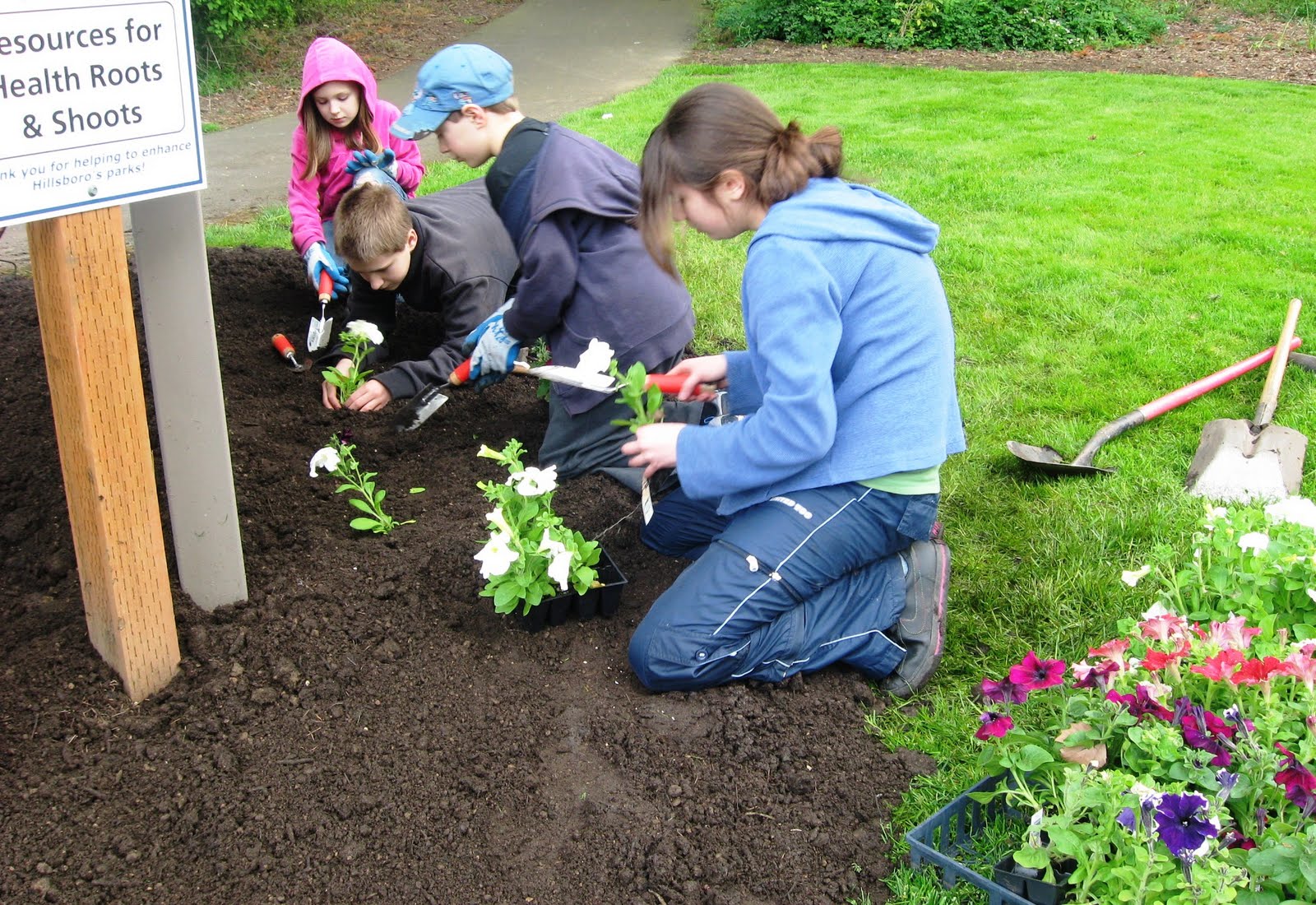 Resources for Health Roots & Shoots: EVERGREEN PARK ADOPTION