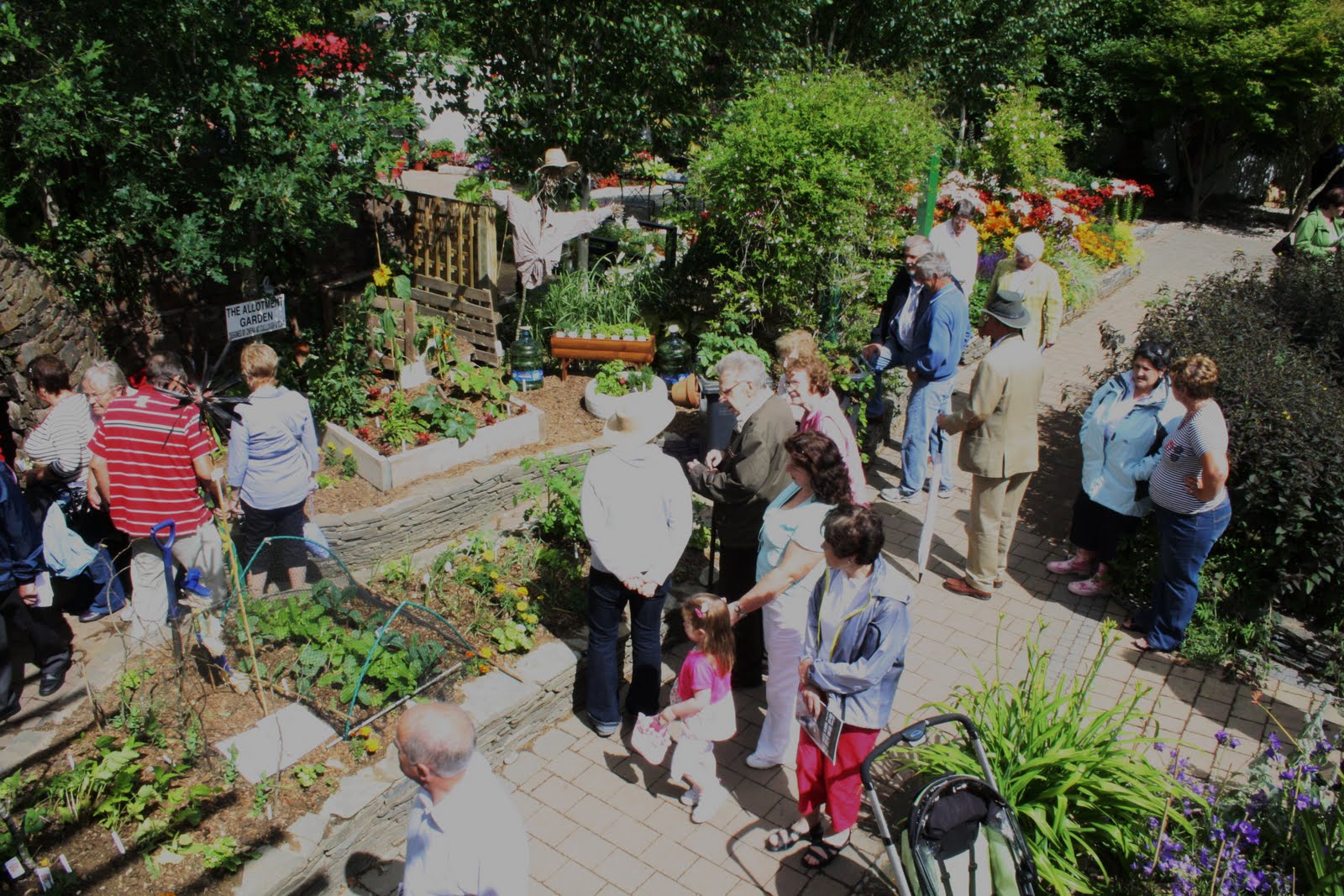 Mallow Garden Festival