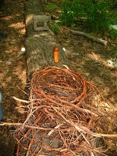 Tlingit Spruce-Root Basket