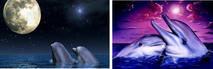 soljaguar: [Delfines] Ángeles del océano