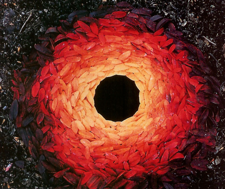 Textual Relations: Andy Goldsworthy's transient art