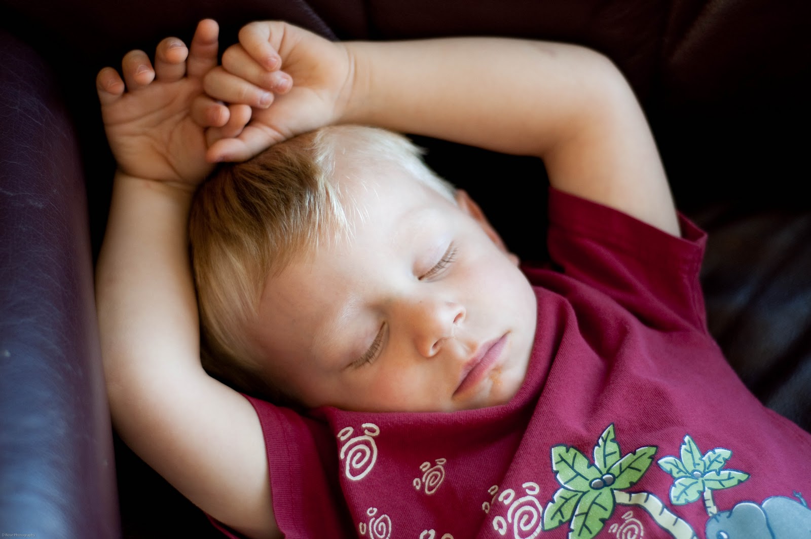 Call Her Blessed: Sleepy Boy