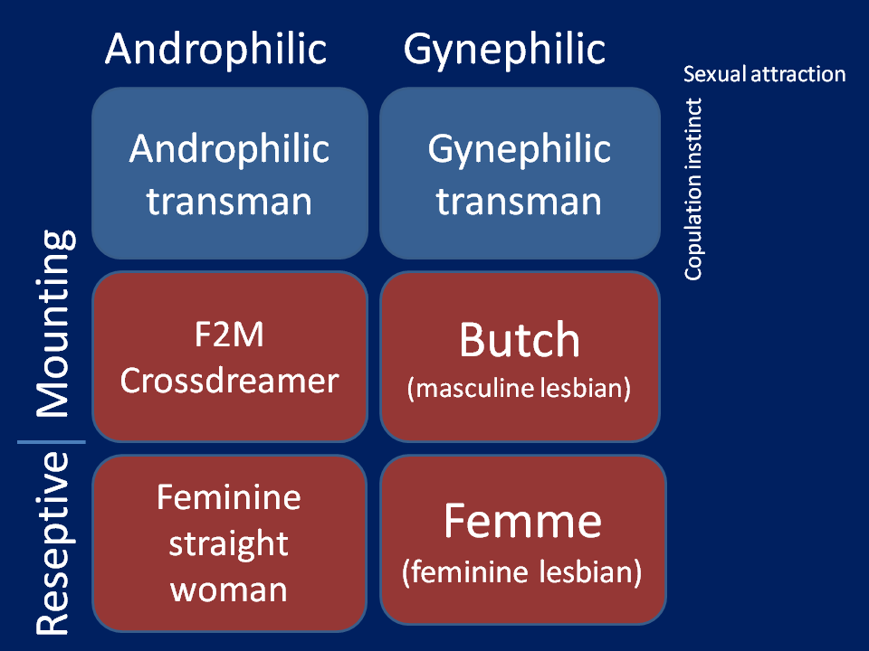 Crossdreamers: The female and male copulation instincts 2