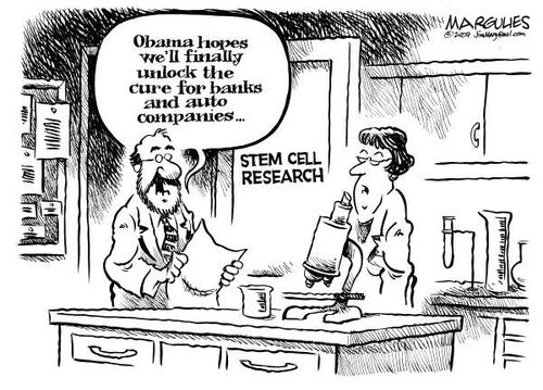 Stem Cell Research Now!: For Fun