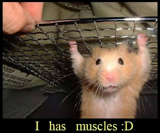 Two Ladies and No Baby: Operation Hamster Drop