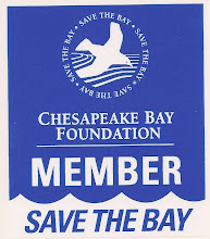 Tales Of Two Cities: Sloop Betty