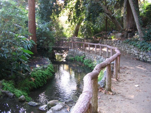 Take A Hike!: FERN DELL PARK - GRIFFITH PARK, CA - 12/11/06