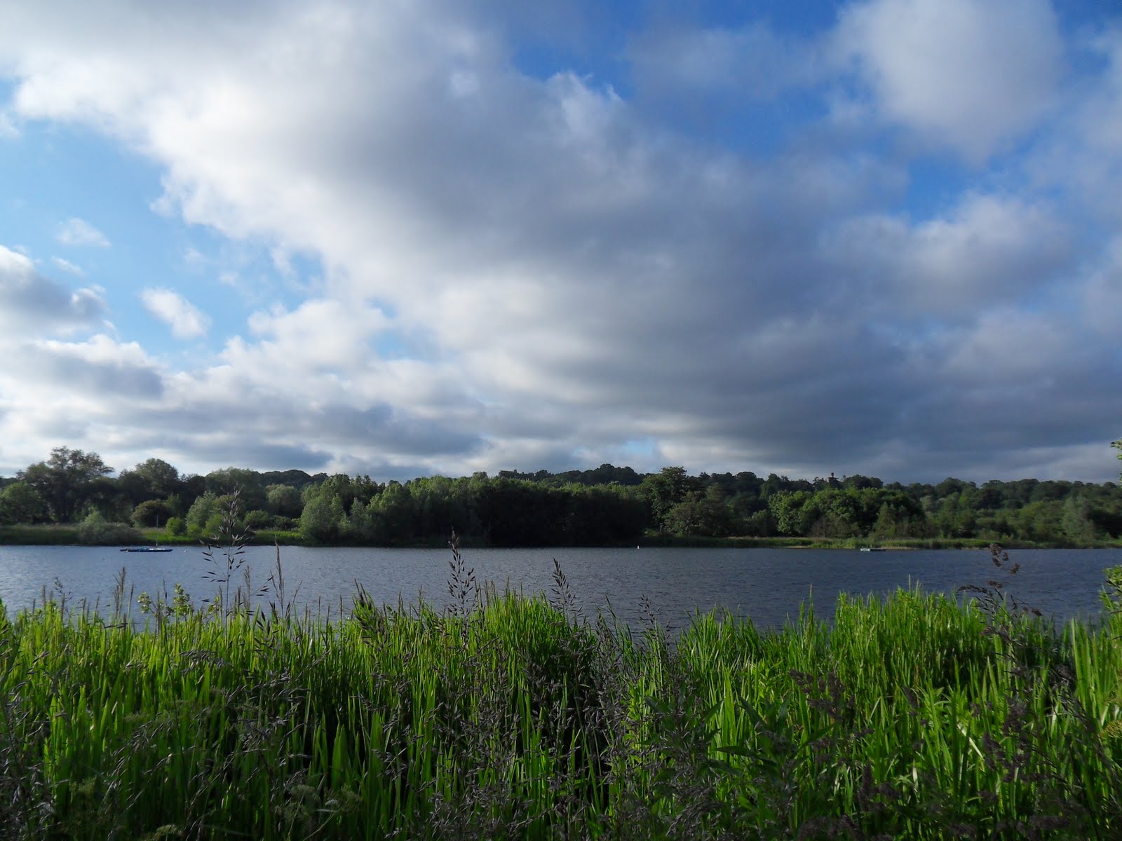 My Adventure Blog: Whitlingham Country Park, Norwich, Norfolk