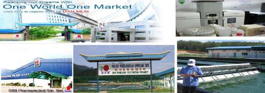 DXN INTERNACIONAL: DXN