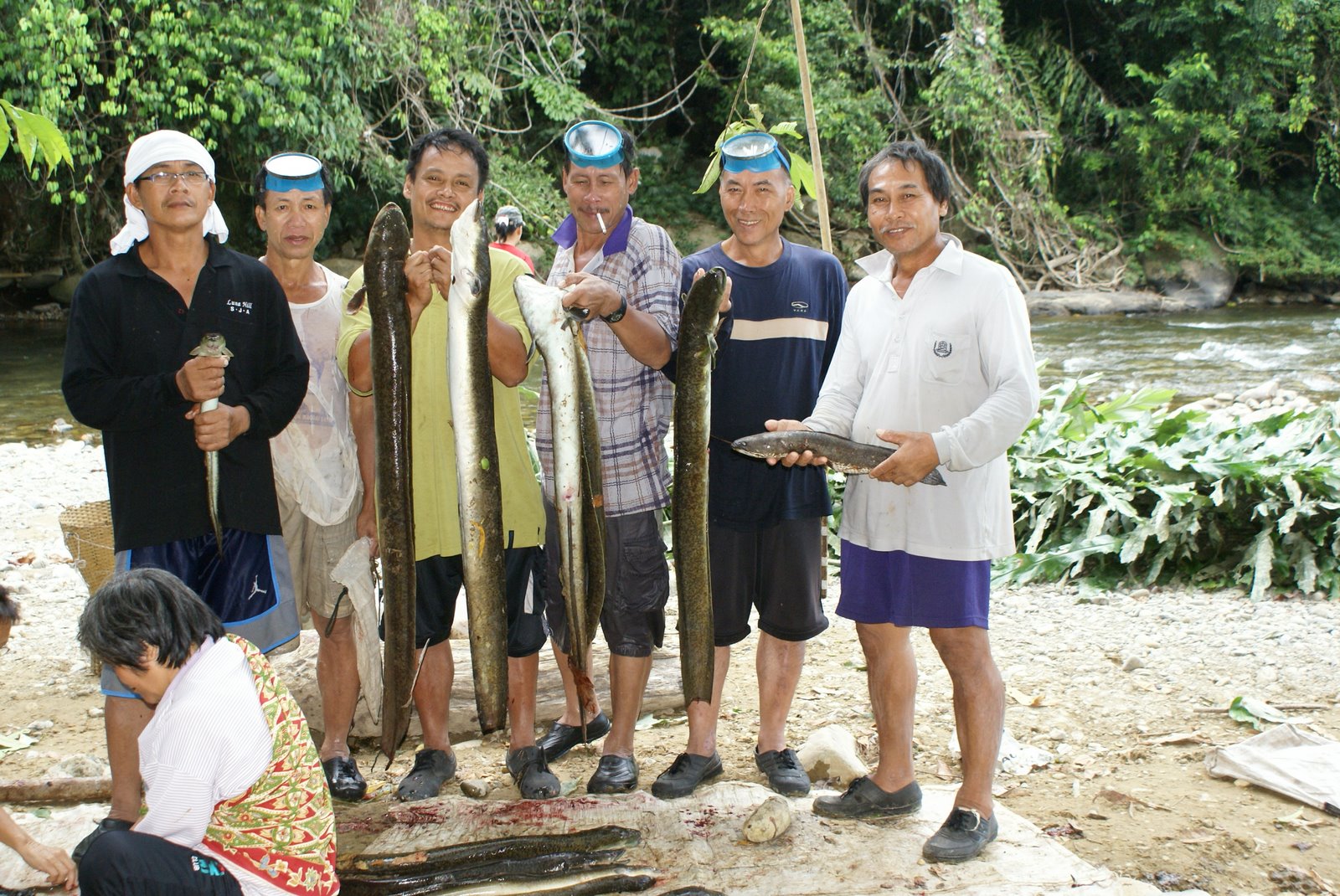 Sejarah Lagenda Ikan Sinsilog / Tambuakar Di Sabah