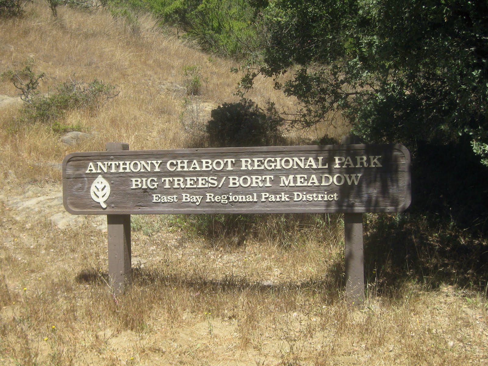 Stumbling Toward Fitness: Bay Area Ridge Trail: East Bay - Chabot