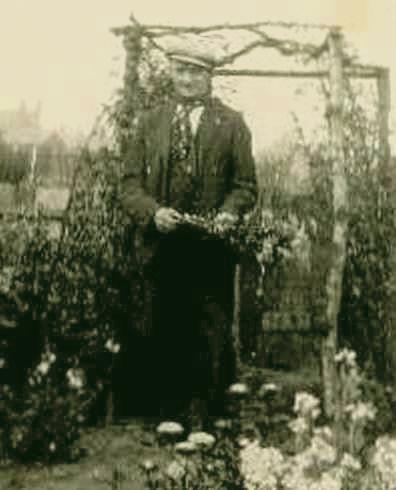 BASTIN Family TREE: BASTIN Family TREE