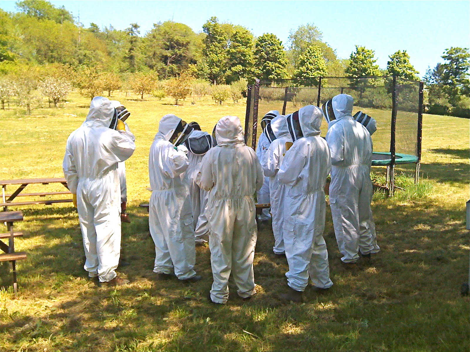 Beekeeping Course Ends, Next one in July!
