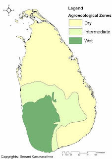 Dry zone: Dry zone of srilanka