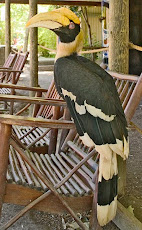 BUK THURTHUR-The Great!