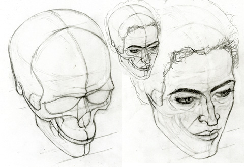 life drawing two: coming back to the skull
