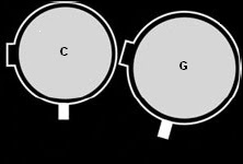 Percusize Me!: Timpani: German set-up.