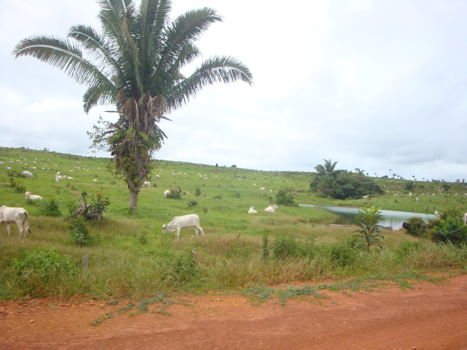 Bem Vindo!!! Prefeitura de Apuí: Prefeito de Apuí se reúne com ...