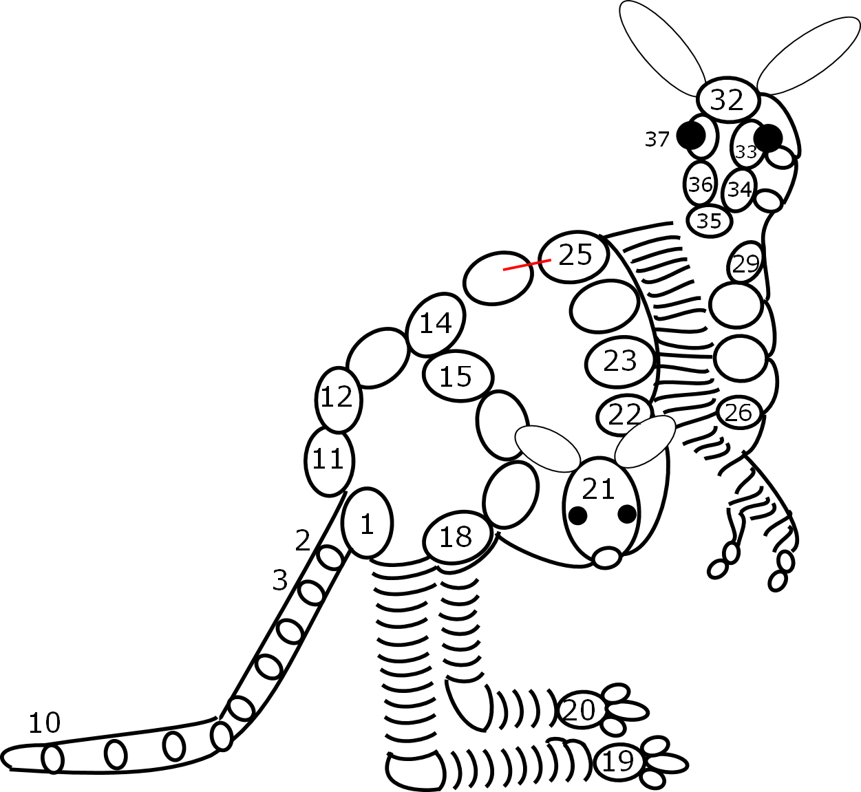 Tatting and not a lot else!: Day 5 of the kangaroo