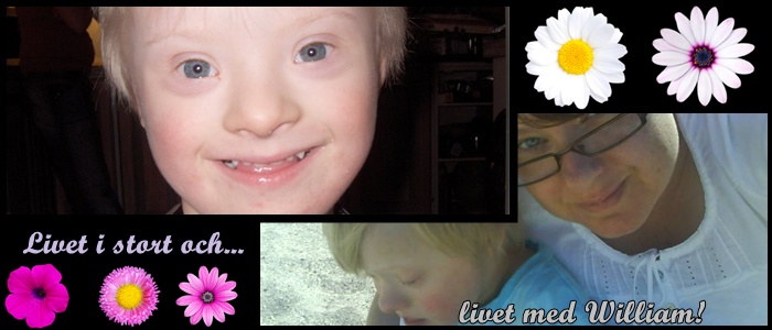 Livet i stort och livet med William!: Snoppar, snoppar, snoppar!