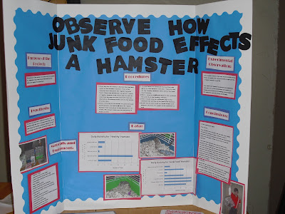 Science Fair and Homework Saga - CrystalandComp.com