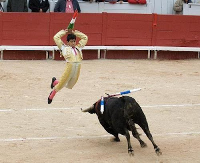 funny: Bull Fighting With Man