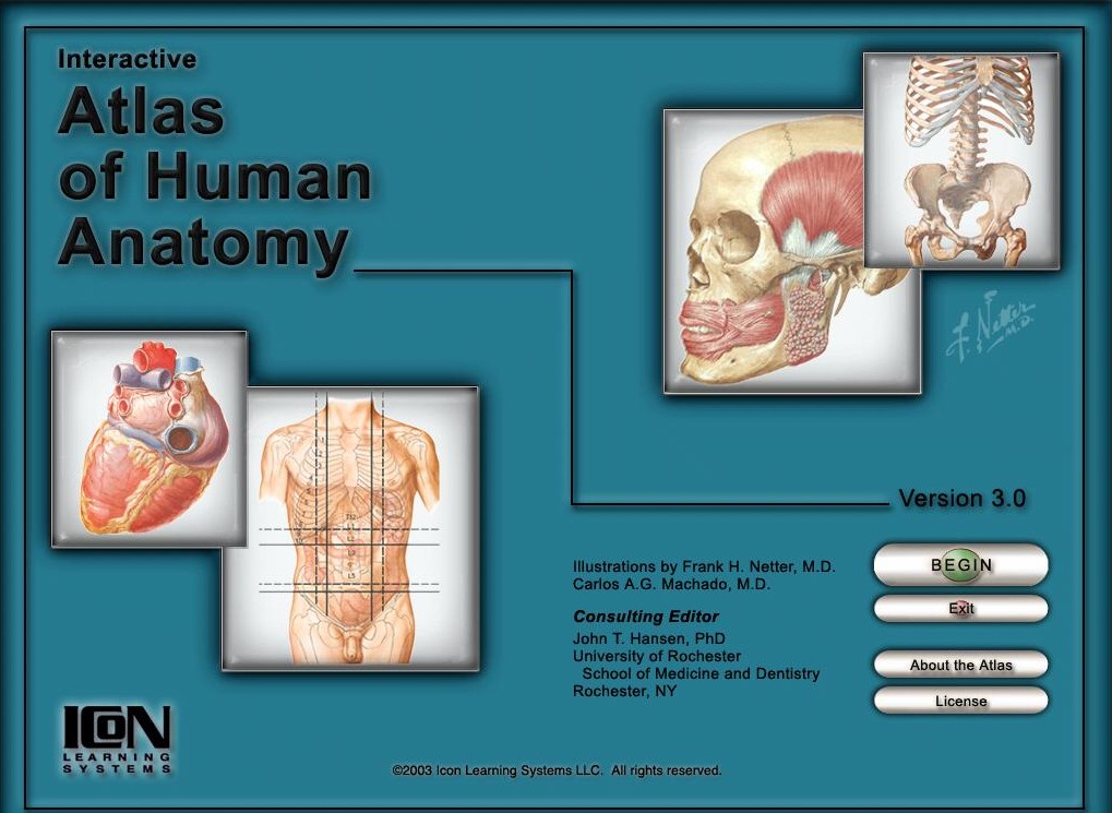 Kine Corp: Netter Interactive Atlas Of Human Anatomy v3.0 [CDROM]