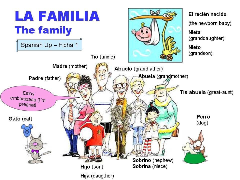 Spanish Up: LA FAMILIA (The family)