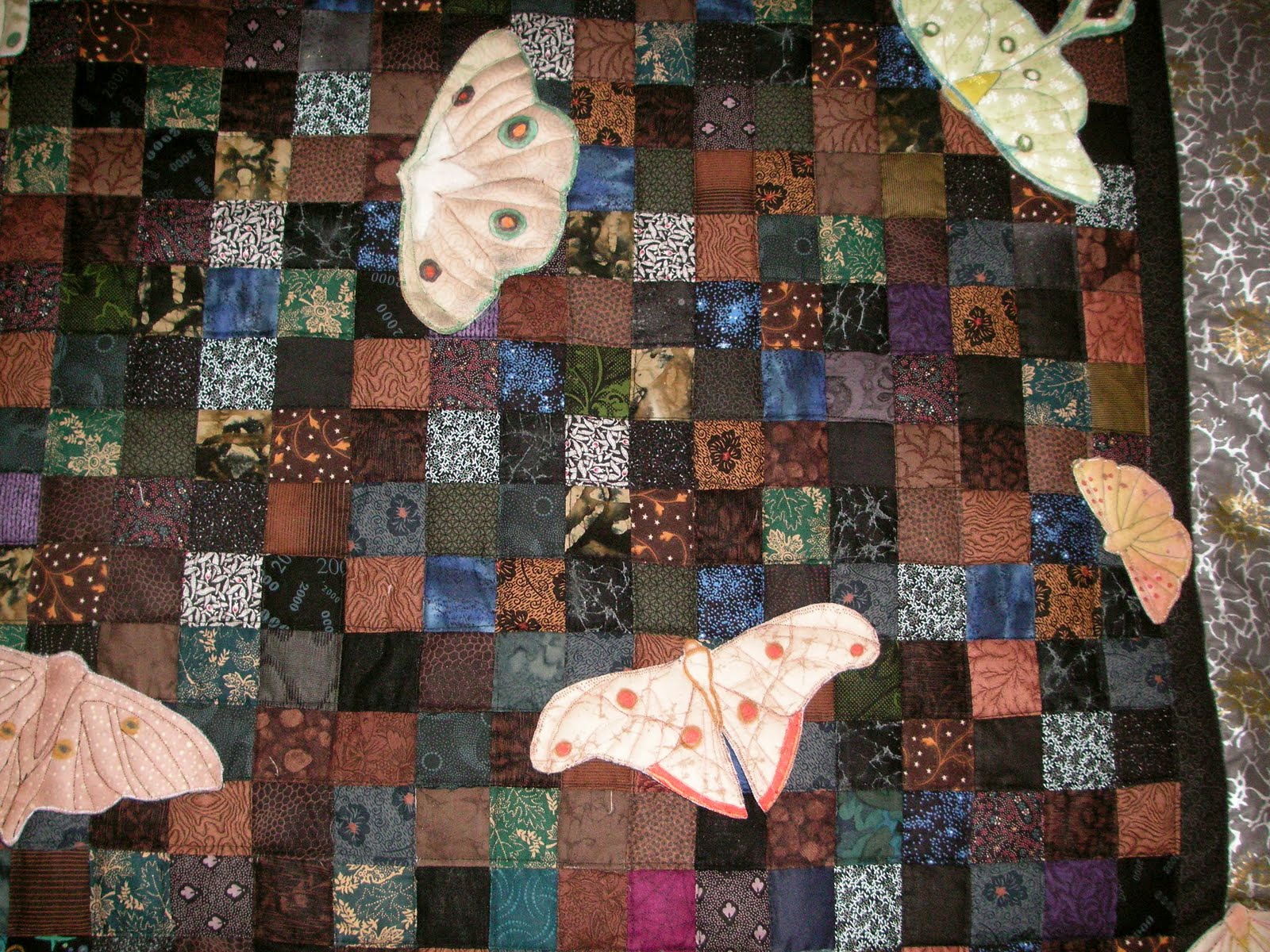 FRIENDSHIP QUILTS - JUNE CALENDER: Moth quilt