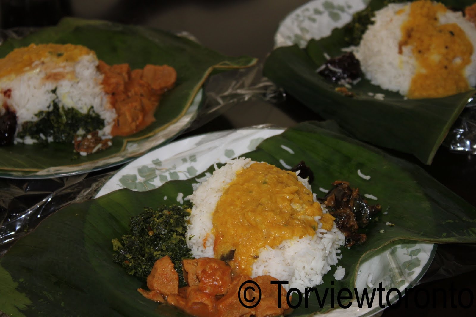 Torviewtoronto: Banana leaf rice
