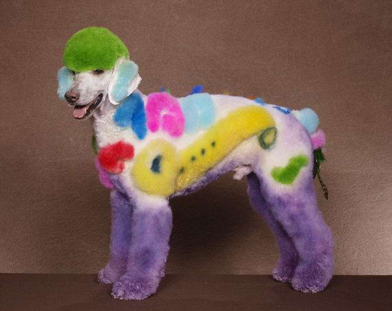 FoxyCircus: Top 12 Creative Dog Hairstyles