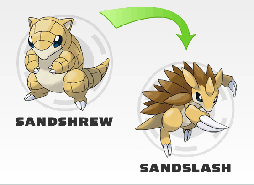 Pokémon: Sandshrew e Sandslash