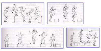 Utilização do salto como meio de treino para melhorar o rendimento ...