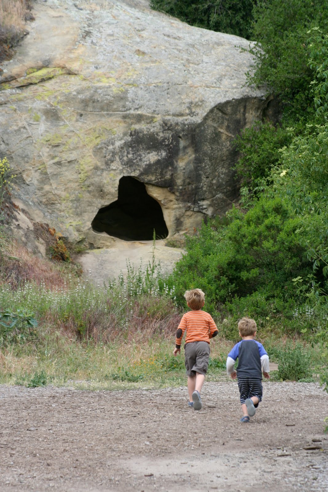 Lilly and the brothers: Hiking Willow Canyon in Laguna Beach