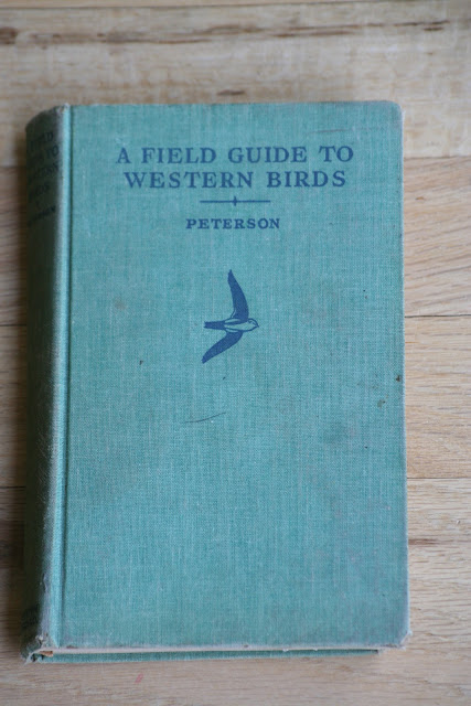 Picnics in the Park: Vintage Books: Field Guides