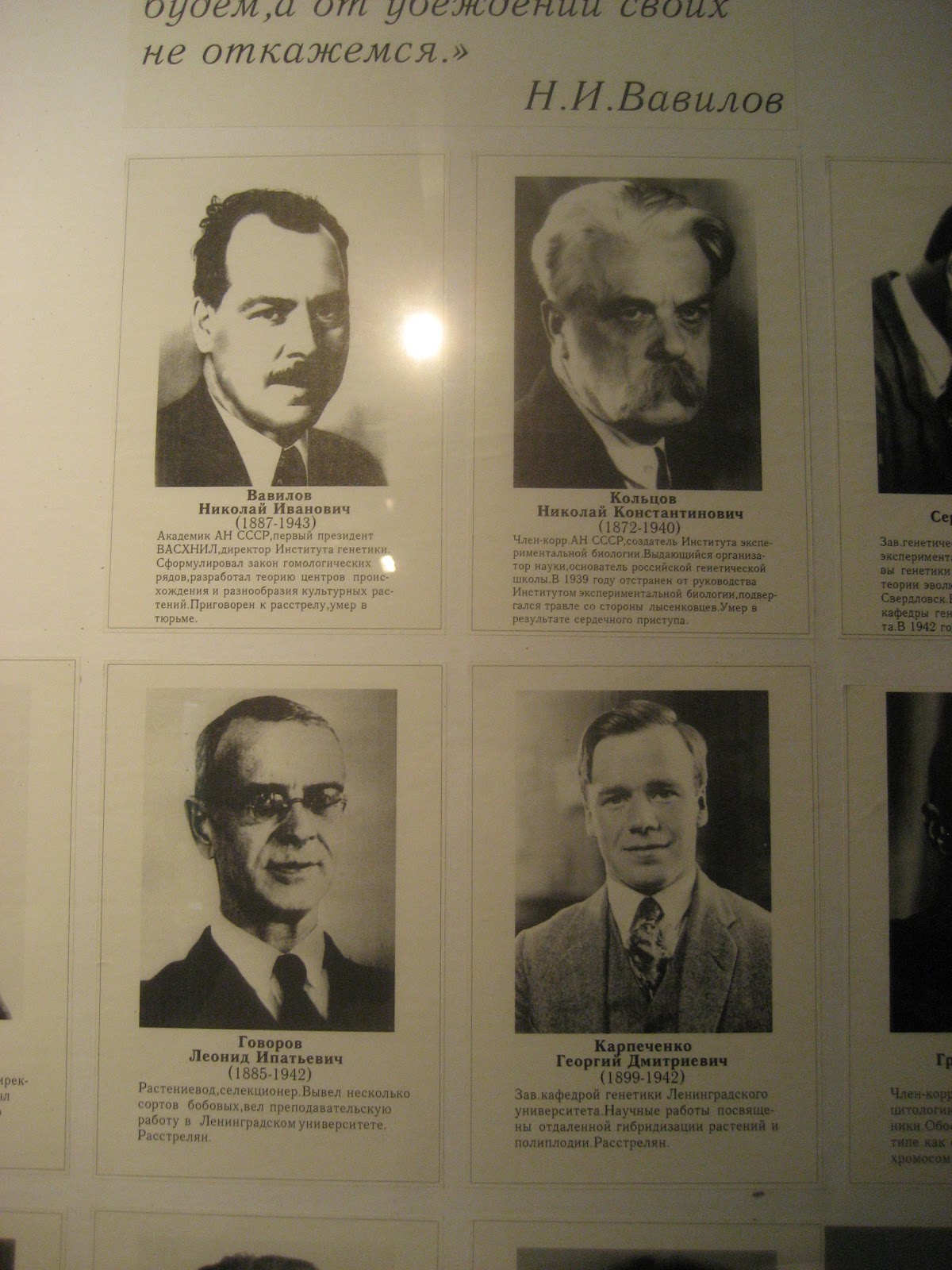 blogarithm: State Darwin Museum