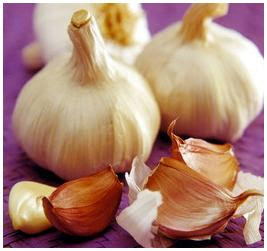 Herbal Medicine: Bawang, Bauang / Garlic (Allium sativum) - Philippine ...