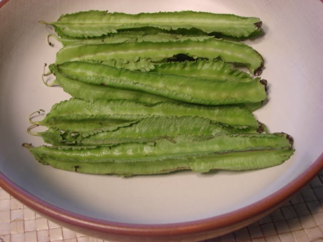 Losing Sleep: BAHAY KUBO EDUCATION