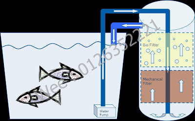 Jurassic Fish: RAS (Recirculating Aquaculture System)