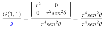 La Teoría de la Relatividad: El determinante del tensor métrico