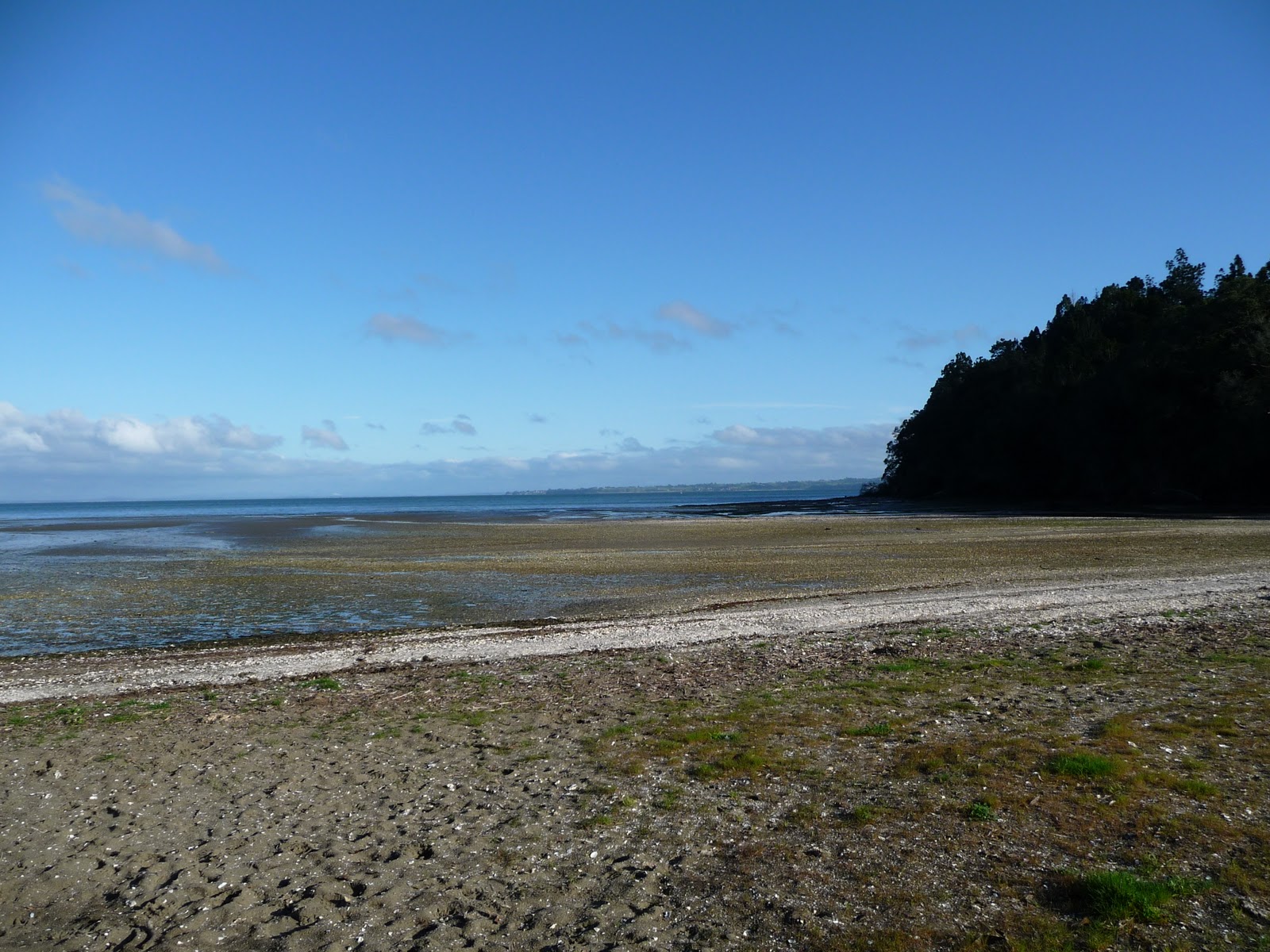 Discovering NZ: Titirangi Beach, Auckland NZ