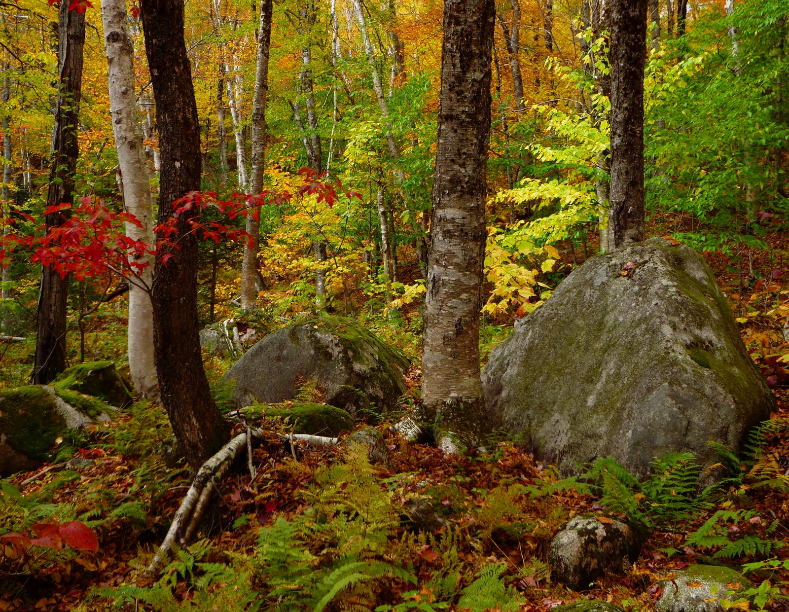 The Journey is a Wild One: I Enter the Wild - Baxter Day 5: On Showers ...