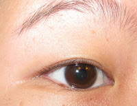 My Makeup Blog: makeup, skin care and beyond: L'Oreal Telescopic ...